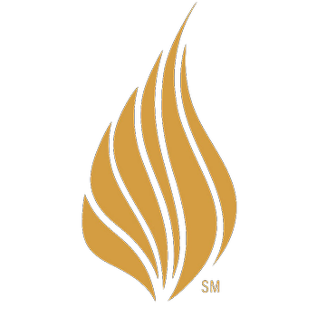 🔐 How to Sign into Office 365